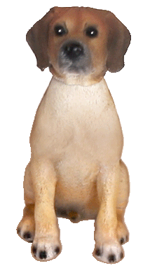 Custom Bobbleheads & Bobblehead Pets in Canada / Bobbleworld.ca